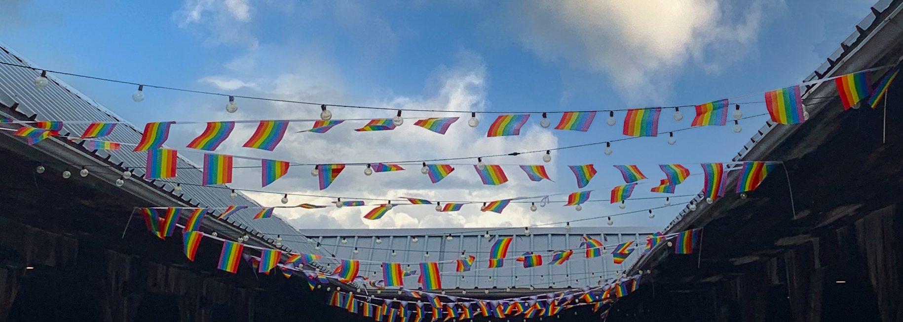 Board Structure Notice - pflag Canada